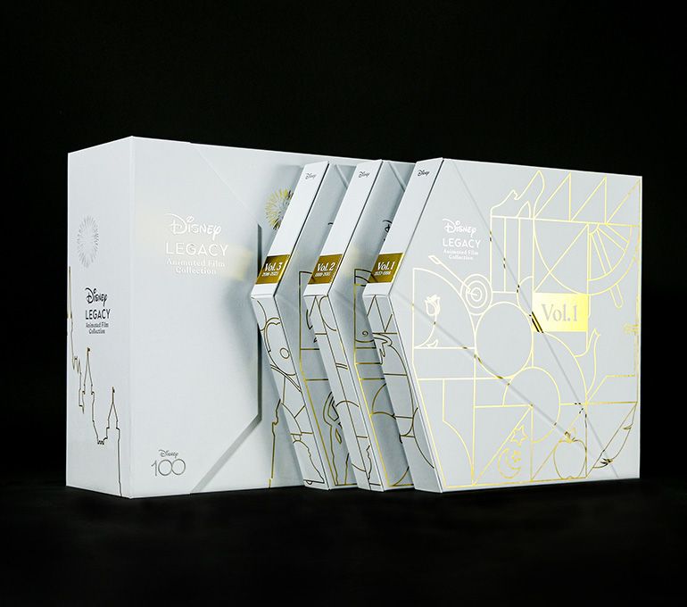 Innovative Sustainable Packaging Manufacturer-Topsion Packaging Limited